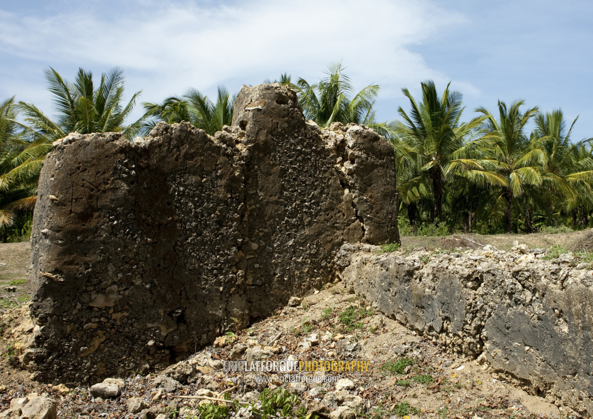 ERIC LAFFORGUE PHOTOGRAPHY - Pujini ruins, Pemba, Tanzania